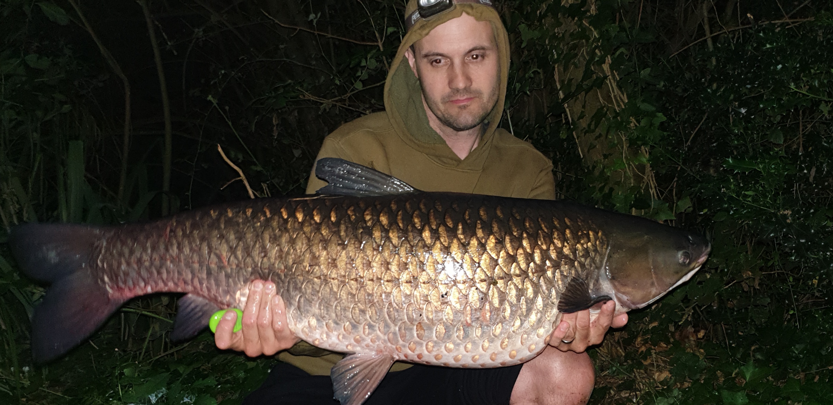 Grass carp | Total Carp